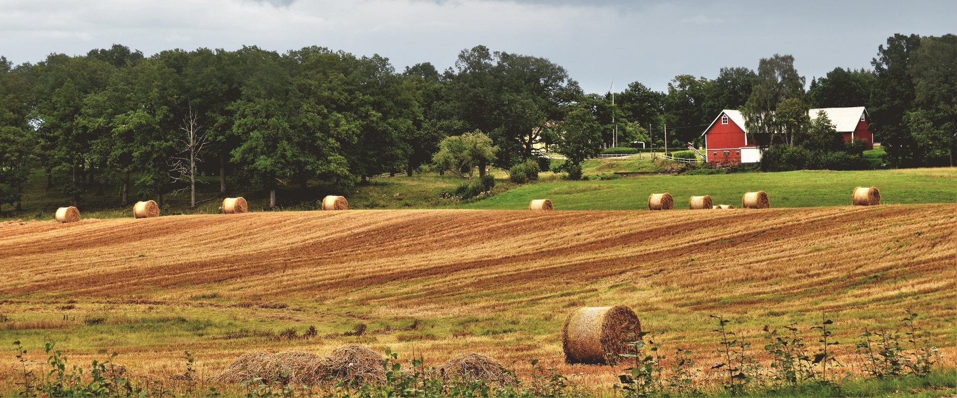 Coffee County | Coffee County